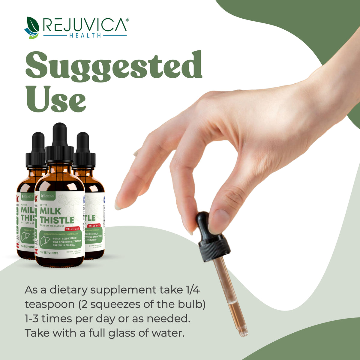 Active Milk Thistle Value Size - Milk Thistle Extract – Rejuvica Health